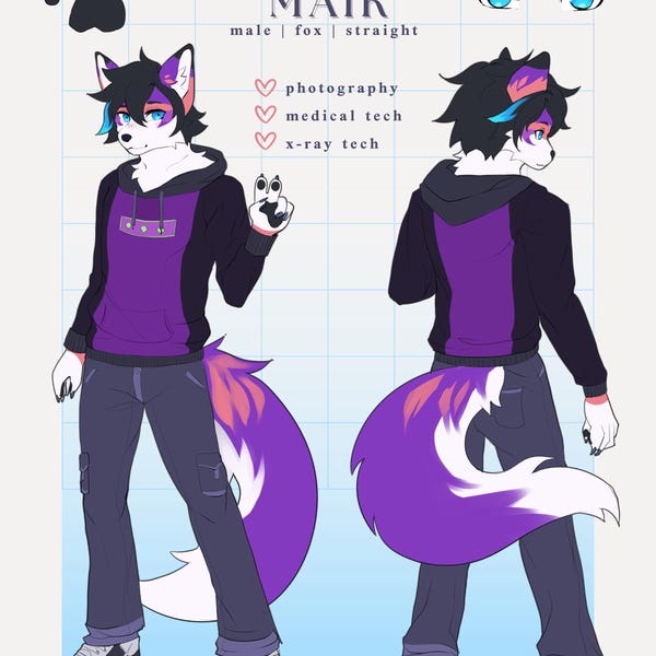 Furry OC Complex Reference Sheet || Furry Commissions - Etsy