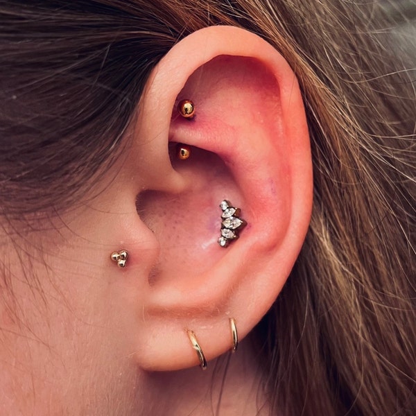ASTM F136 Titanium Marquise Fan Conch Earring, Conch Labret, Internally ...