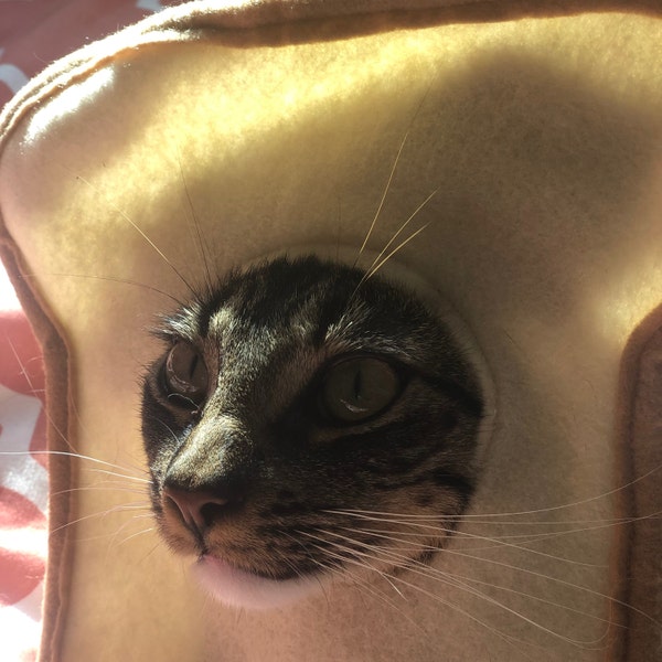 Bread Cat Costume for Cats - Etsy