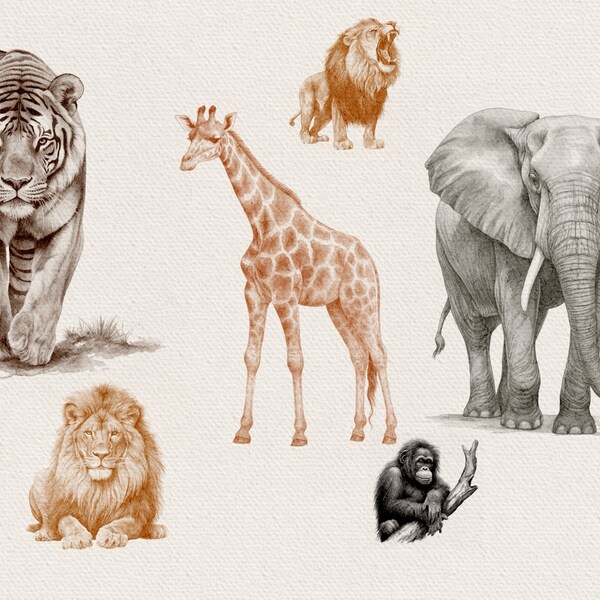 100 Procreate 3d Style Dragon Stamps, 3d Dragon Stamps for Procreate ...