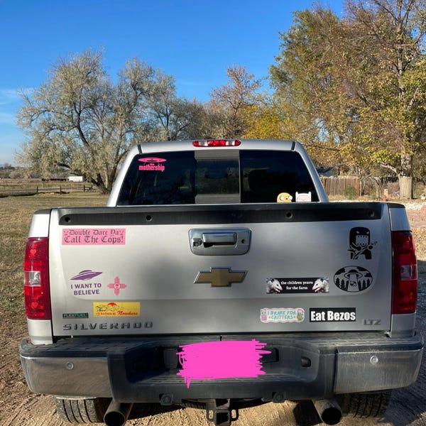 Feral Girlie Bumper Sticker Gen Z, Cursed Meme Sticker, Cute Car Decals ...