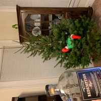 Christmas Booze Ball Ornaments, Ornament Shots - Etsy Canada