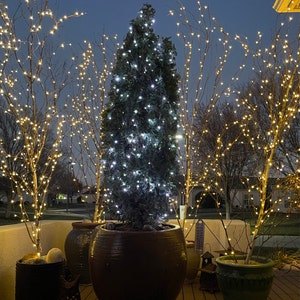 Alder Forked Poles One Pole - Etsy