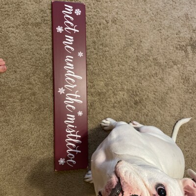 Zoomies Definition Dog Sign or Cat Sign Dog Gift Dog Mom Dog - Etsy