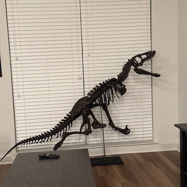 Life Size Utahraptor Skull - Etsy Canada