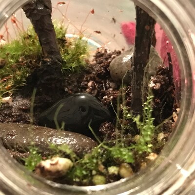 Little Badger Terrarium Figurine Miniature Ceramic Porcelain Animal ...