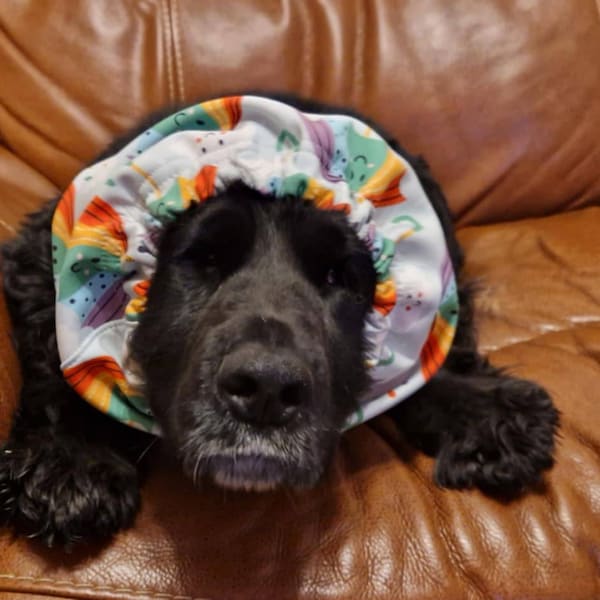 Snood for Cocker Spaniel - Etsy