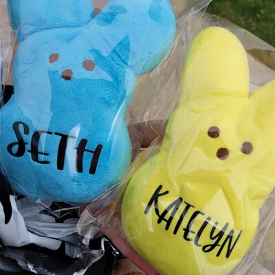 Personalized Plush Bunny Inspired Peep Bunny Personalized - Etsy