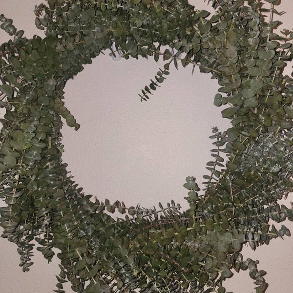 Fresh Eucalyptus Wreath 20" - Etsy