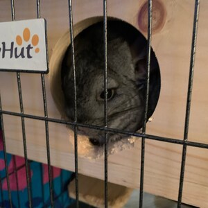 Chinchilla Ledge / Steps / Ramp Mounting Hardware - Etsy