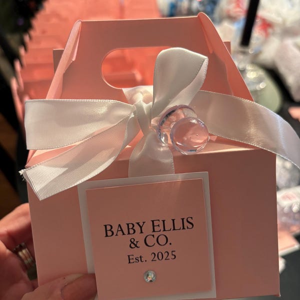 Small Gable Box Favors in Baby and Company Theme, Baby Pink, Light Teal ...