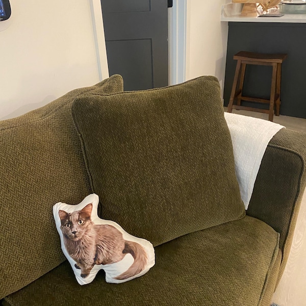 Custom Pet Pillow, Custom Pet Cushion, Pet Ugly Pillow, Pet Shaped ...