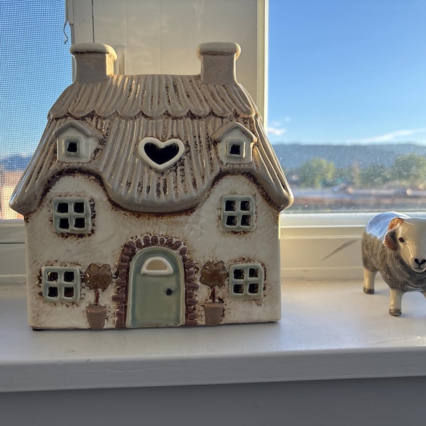 White Screw Shells 3-8cm Unicorn Horns Spiral Shell Beach Wedding ...