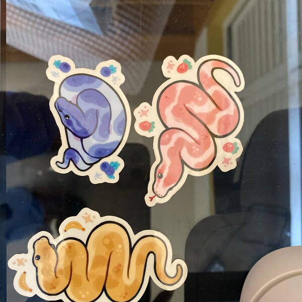 Fruit Salad Snake Clear Sticker Set: Ball Python Stickers - Etsy