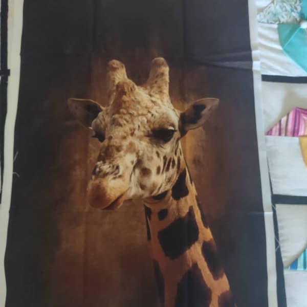 The Barrel Racer Fabric Panel, Quilt Panel, Quality Quilting Cotton ...