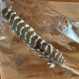Heritage Turkey Feathers (2 Feathers per Price) - Etsy
