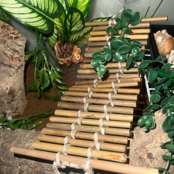 Bamboo Bridge- 4" Width - (perfect for Crested Geckos, Leopard Geckos ...