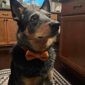 Choose Your Color Suspender & Bow Tie Set Men's Bow Tie | Etsy