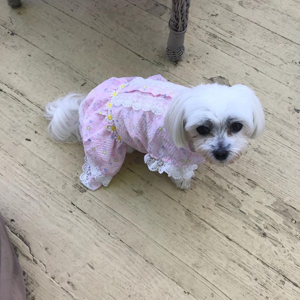 Dog Wedding Gown, Dog Wedding Dress, Dog Wedding Outfit, Dog Wedding ...