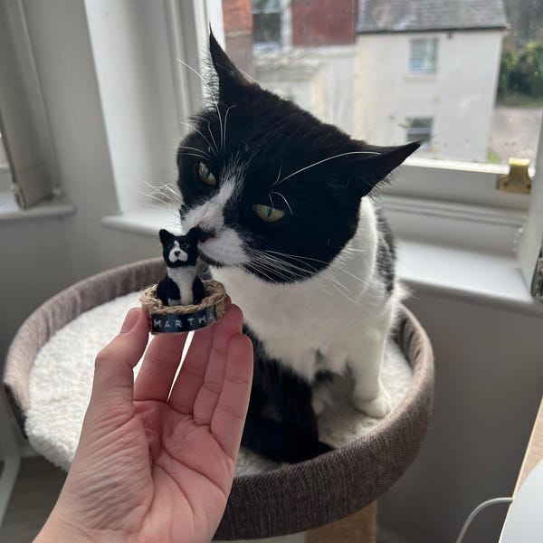 Personalised Dog Pet Replica - A Palm Sized, Needle Felted Version of ...