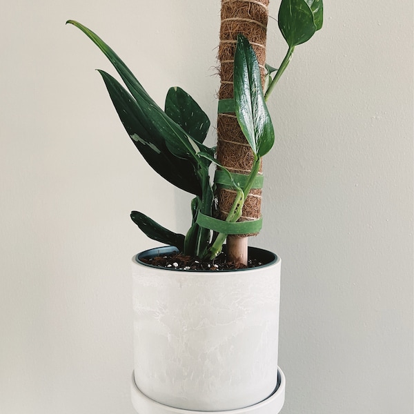 7" Planter Pot With Drainage Hole & Plug | Indoor Planter Pot | Eco ...