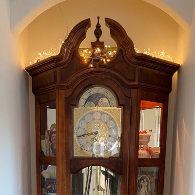 Solar Wild Fennel Light - Etsy