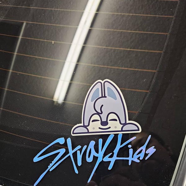 Sleepover Skzoo Stickers| Stray Kids| Comeback - Etsy