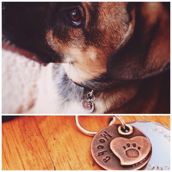 Dog Tag - Pet Tag - Pet Id Tag- Accessories- Copper Nickel/silver Brass ...