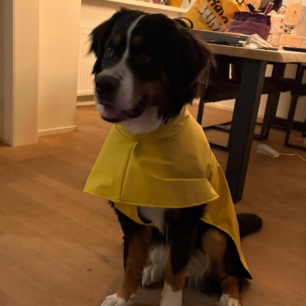Easy Dog Coat PDF Sewing Pattern Multiple Sizes 20-65cm/8-26inches With ...