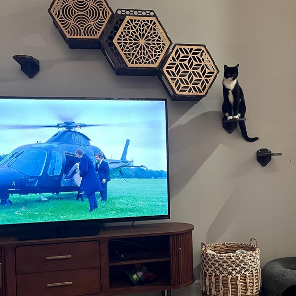Hexagon Honeycomb Cat Shelves - Stylish Wall-mounted Furniture for Your ...