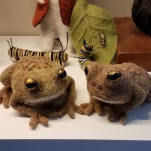 Needle Felted Toad Small Wool Toad Handmade Toad Sculpture - Etsy