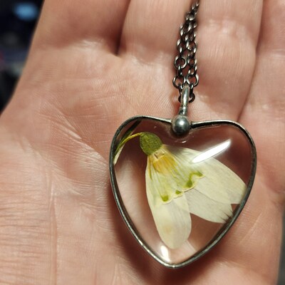 Bleeding Heart Necklace, Pressed Dried Flower. Terrarium Necklace ...
