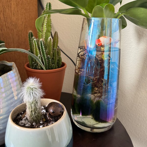 Handmade Plant Accessory/ Decor - Ranchu Goldfish Plant Buddy - Etsy