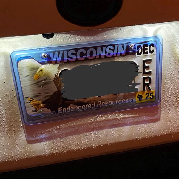 Flame License Plate Frame - Etsy
