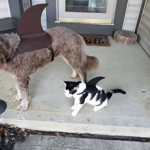 ORCA Fin for Your Large Dog Killer Whale Fin for Your Large - Etsy