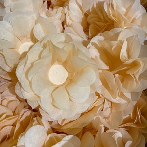 25 TRUFFLE HOLDERS Ferrero Rocher Wrapper Forminhas Para Doces ...