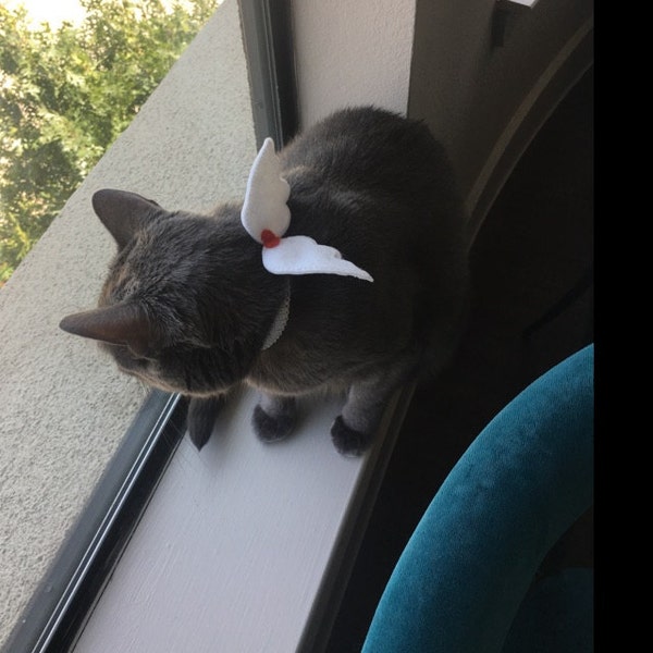 Evil Eye Cat Collar-''turkish Evil Eye''- Evil Eye Beaded Cat Collar ...