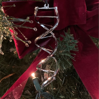 Spine Key Chain - Etsy