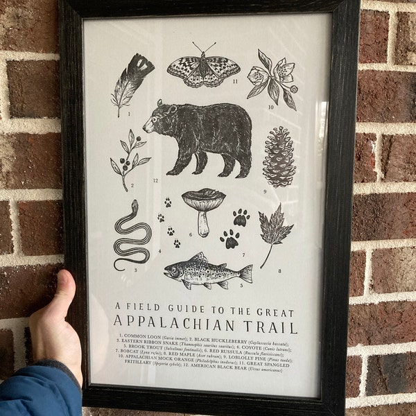 West Virginia Wildlife Field Guide Print - WV Outdoors Flora Fauna Wall ...