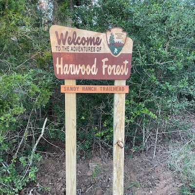 CAT X-ING Caution Sign, Hand Routed Cedar Wood Yard Sign, Cat Lovers ...