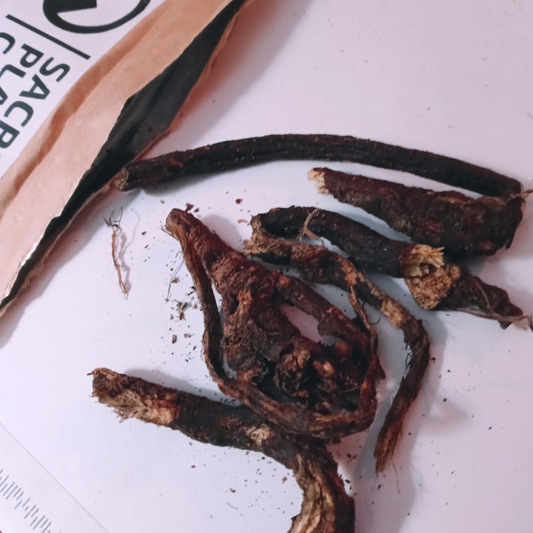 Osha Root | Whole Osha Root | Bear Root | Chuchupate Root | Colorado ...