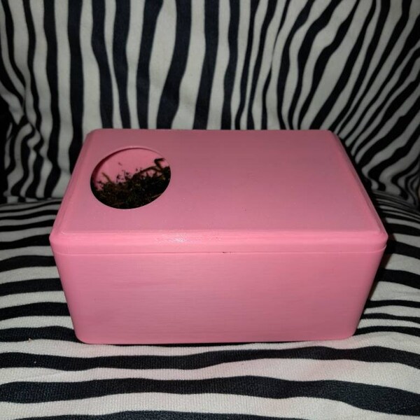 Leopard Gecko Moist Hide / Lay Box - Etsy