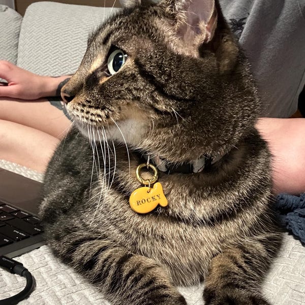 Name Tags for Pets, Polymer Clay Tag, Silent ID Tag, Personalized Dog ...