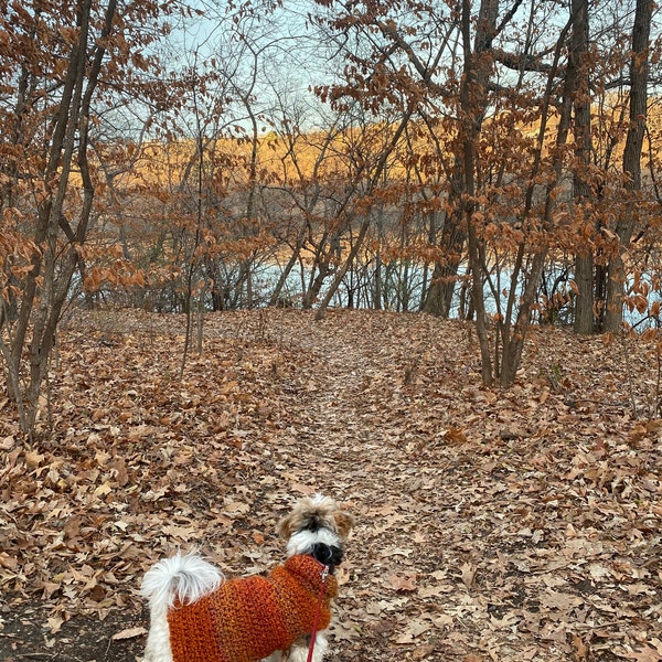 Tangerine, Custom Dog Sweater, Handmade Dog Sweater,medium Dog Sweater ...