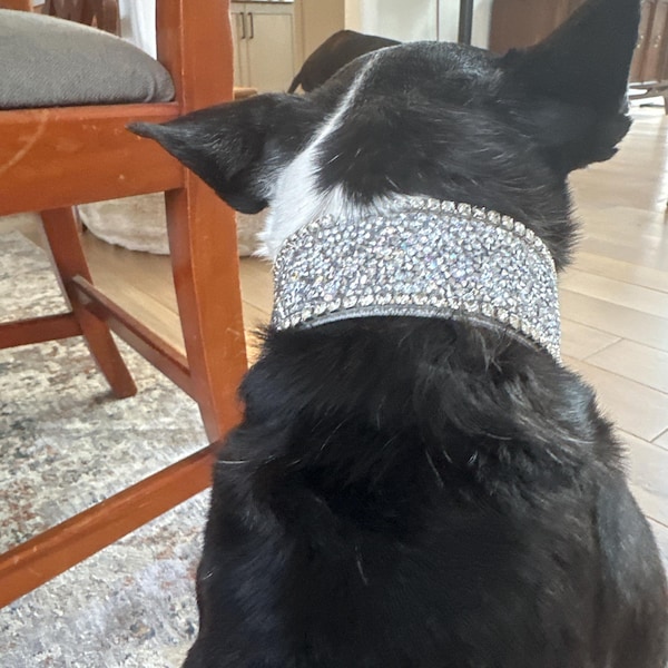 Real Rhinestone Bling Dog Collar 1 Grey Satin Four Sparkling Rows of ...