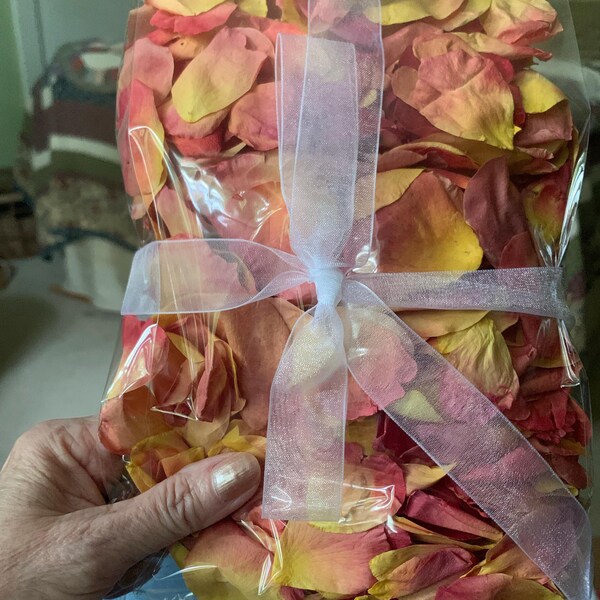 One Cup Petal Sample...choose YOUR Color FREE USA Shipping Wedding ...