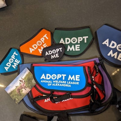 5-pack Adopt Me Dog Jackets Vests With GROUP NAME or WEBSITE - Etsy