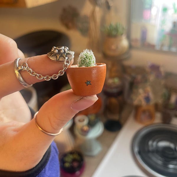 LITTLE PRICKS Miniature Cactus (light Brown) - DIY Cactus Kits, Hand ...