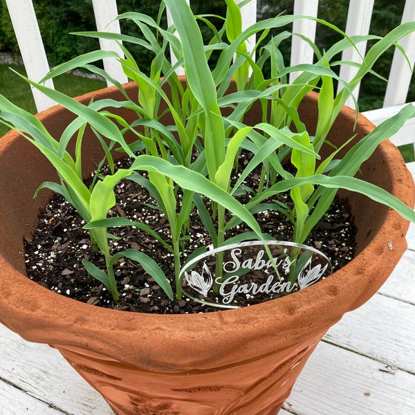Personalized Acrylic Garden Sign, Flower Pot Message Sticks, Gardening ...