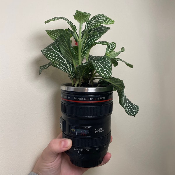 Camera Lens Flower Pot for Photographer - Succulent Planter Photography ...